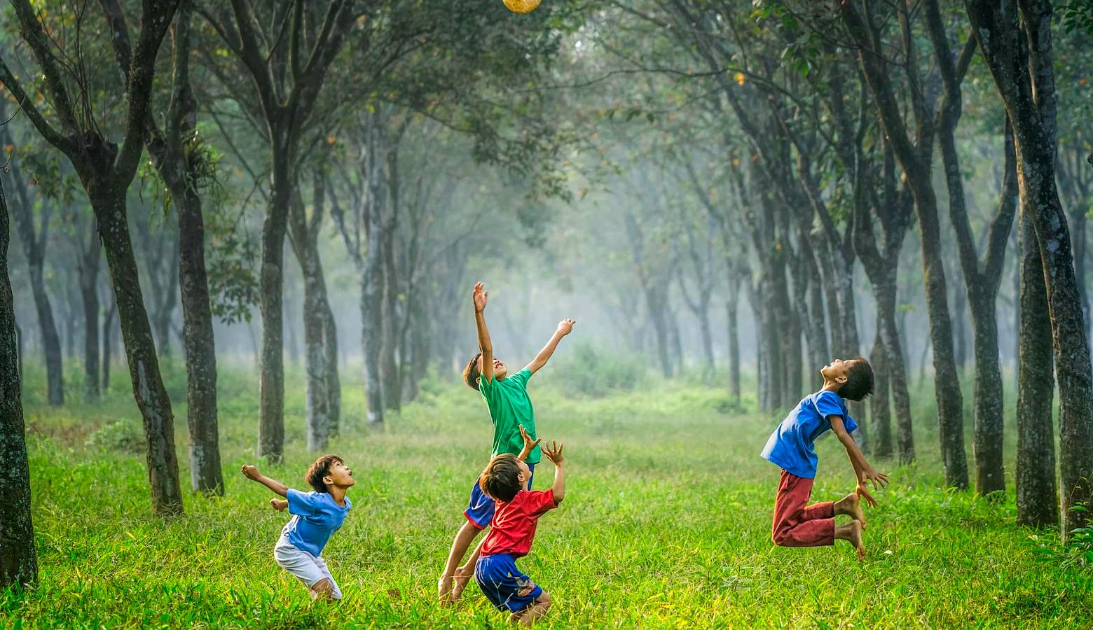 UN: Huge Changes in Society Needed to Make Peace With Nature - WhoWhatWhy