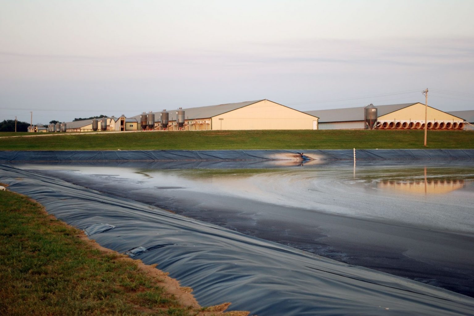 Farm to Factory: Big Ag’s Manure Machine, Part 1 - WhoWhatWhy