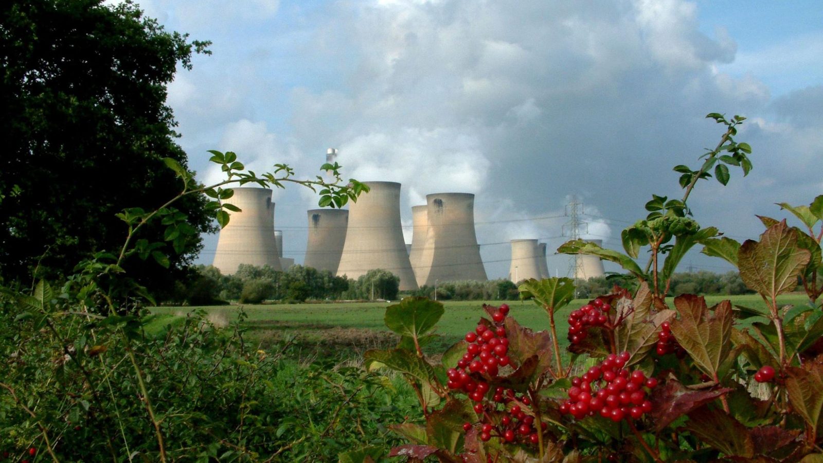 Forest Biomass-Burning Supply Chain Is Producing Major Carbon Emissions ...