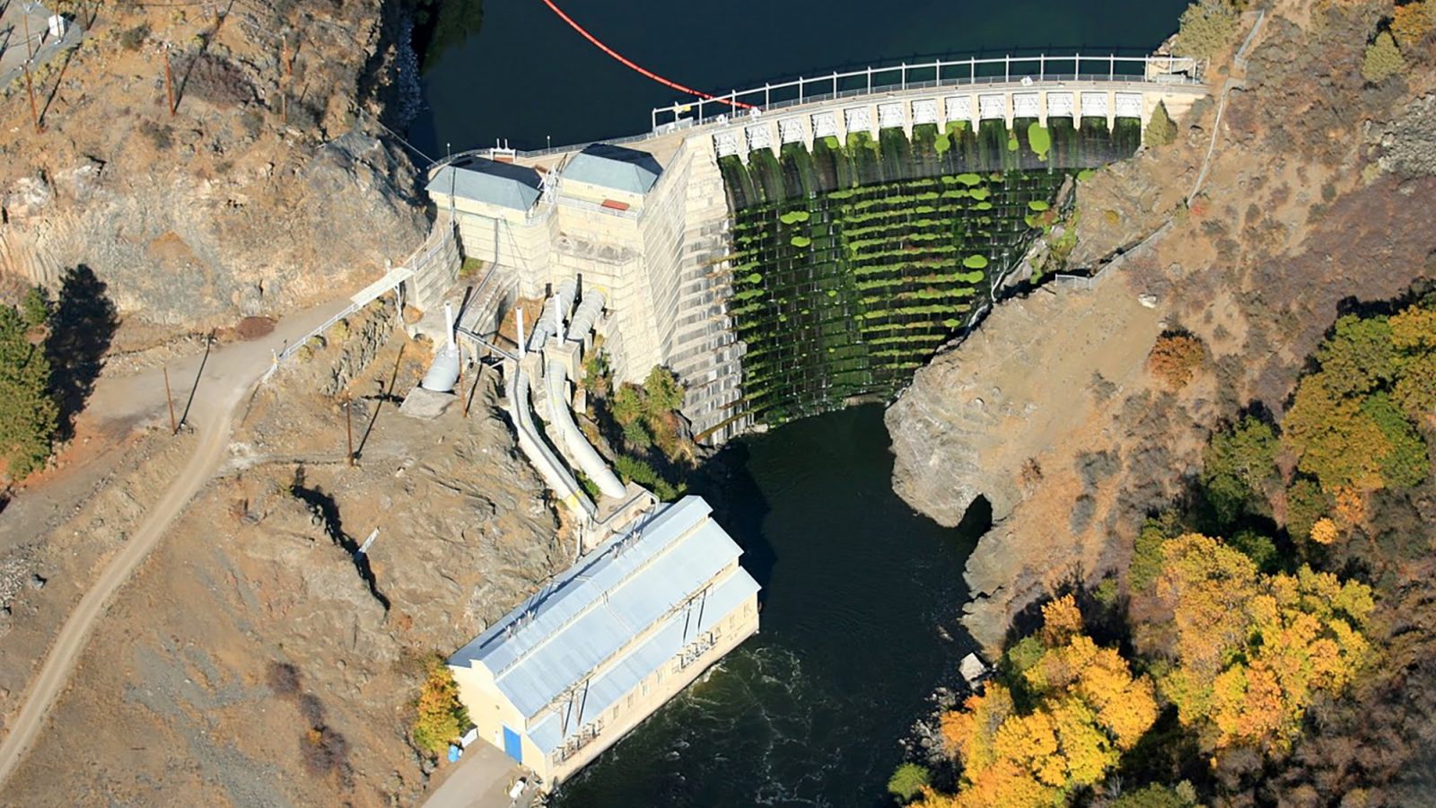 Damned If You Don’t: Vanishing Salmon and the Klamath River Dam Removal ...