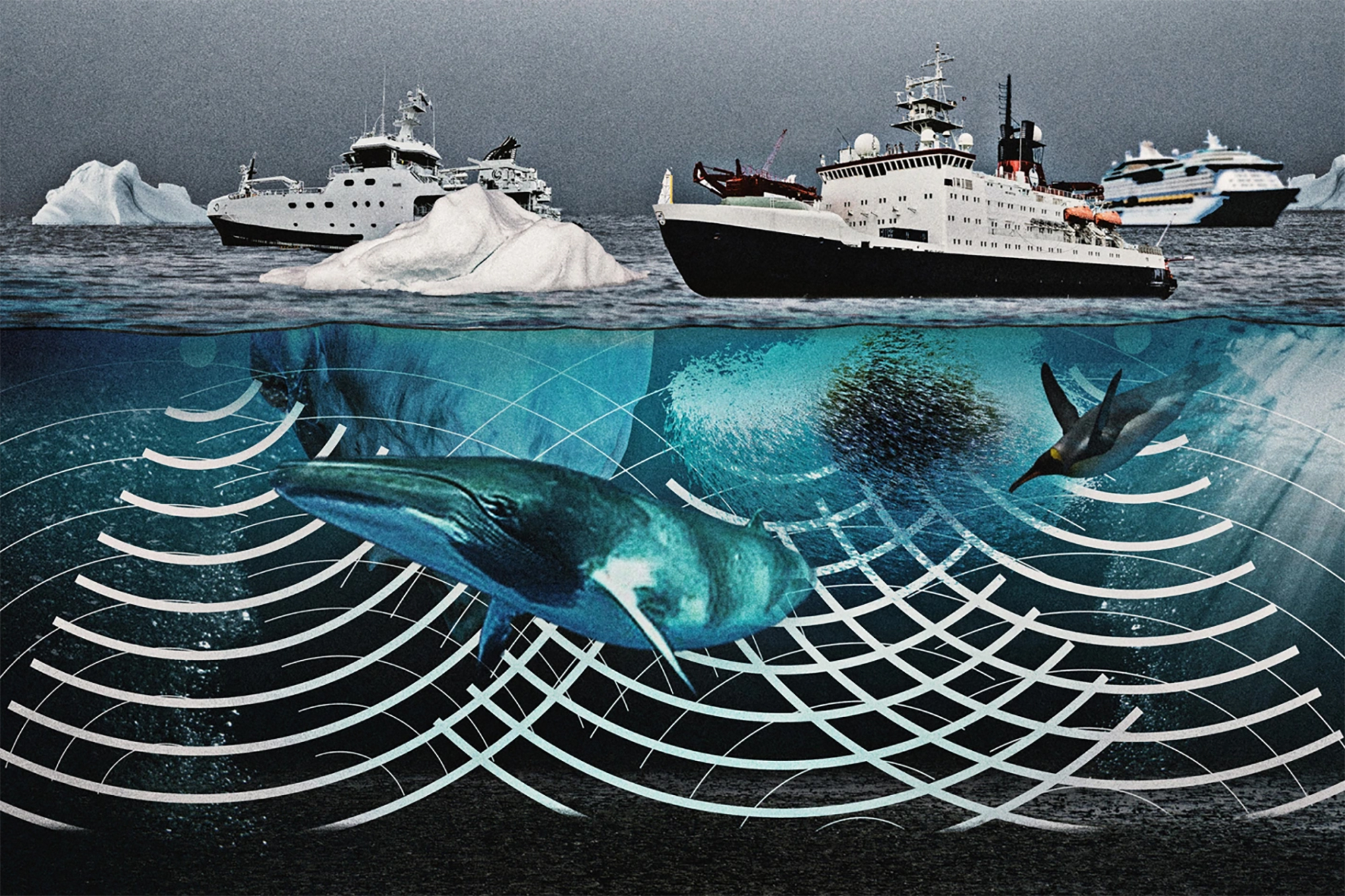Inside Antarctica s Brutal Lingering Noise War On Marine Life Part 1
