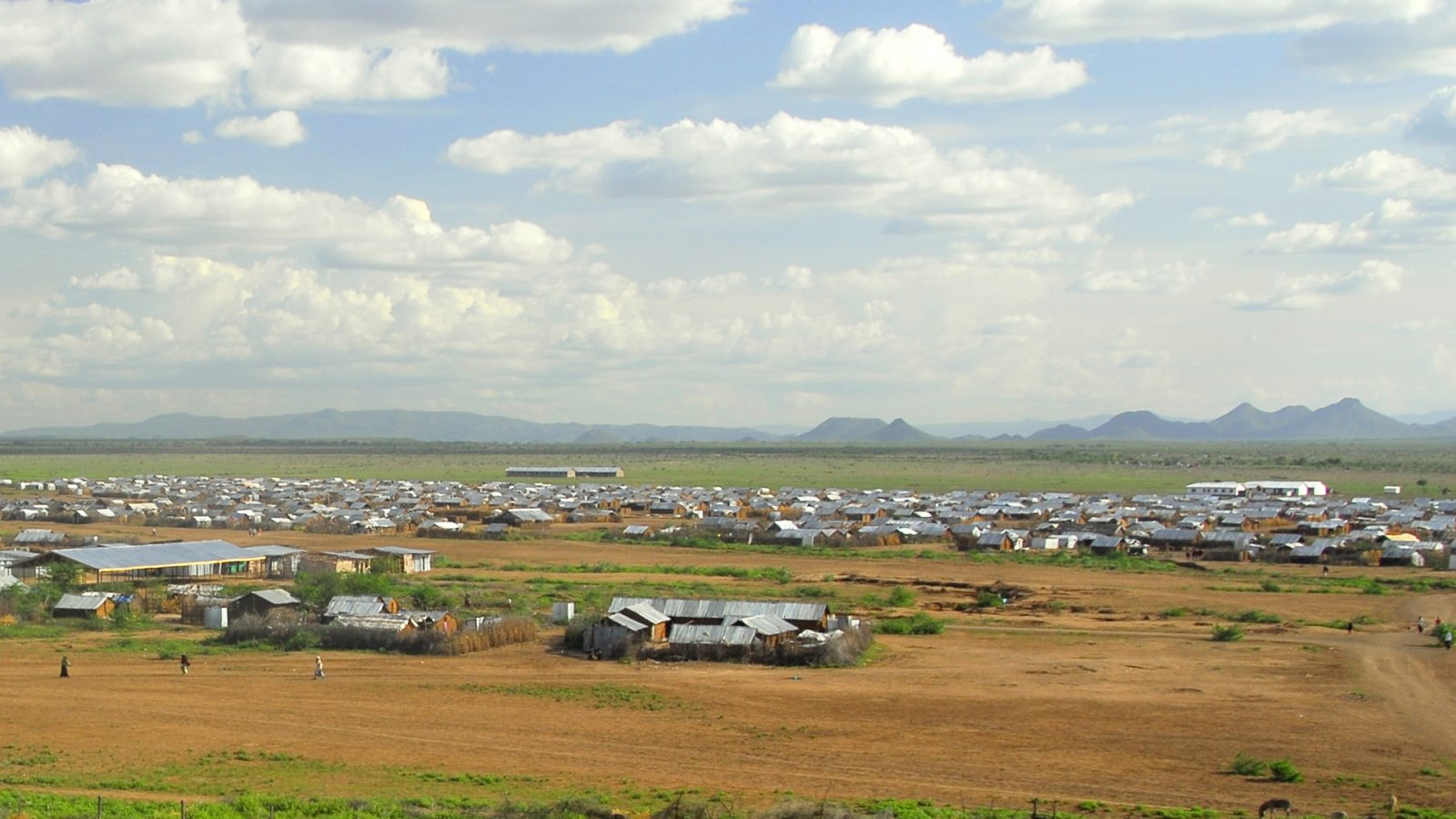 Displaced From Home and Sheltered in an Extreme Environment - WhoWhatWhy