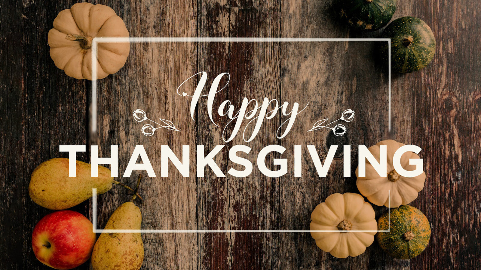 Giving Thanks to Our Readers - WhoWhatWhy