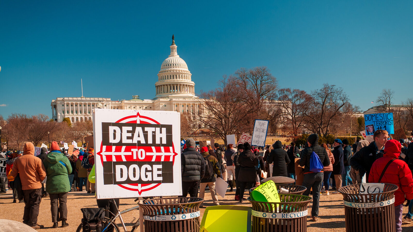 DOGE or DODGE? White House Refuses to Provide Answers on Musk’s Pet ...