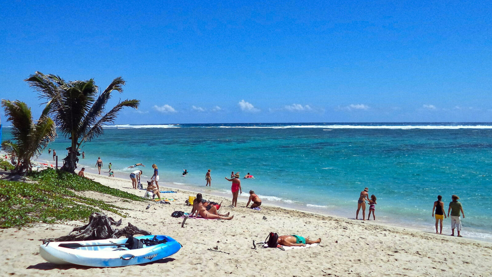 Réunion Island Becomes Hub of Shark Attack Science After Deadly Attacks ...